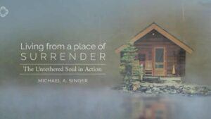 Best Meditation Courses ( 2026 ) From Beginners to Advanced