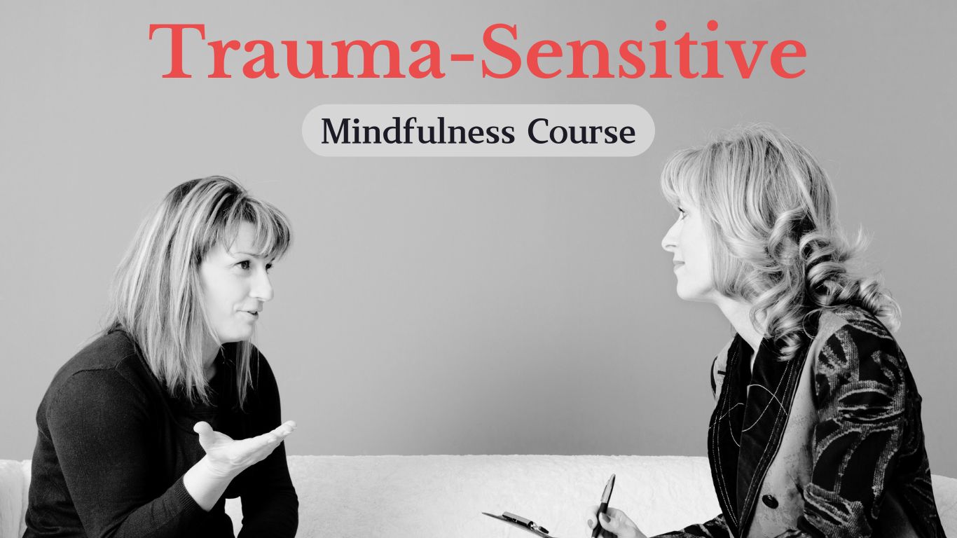 Trauma Informed Mindfulness Training - By Sean Fargo