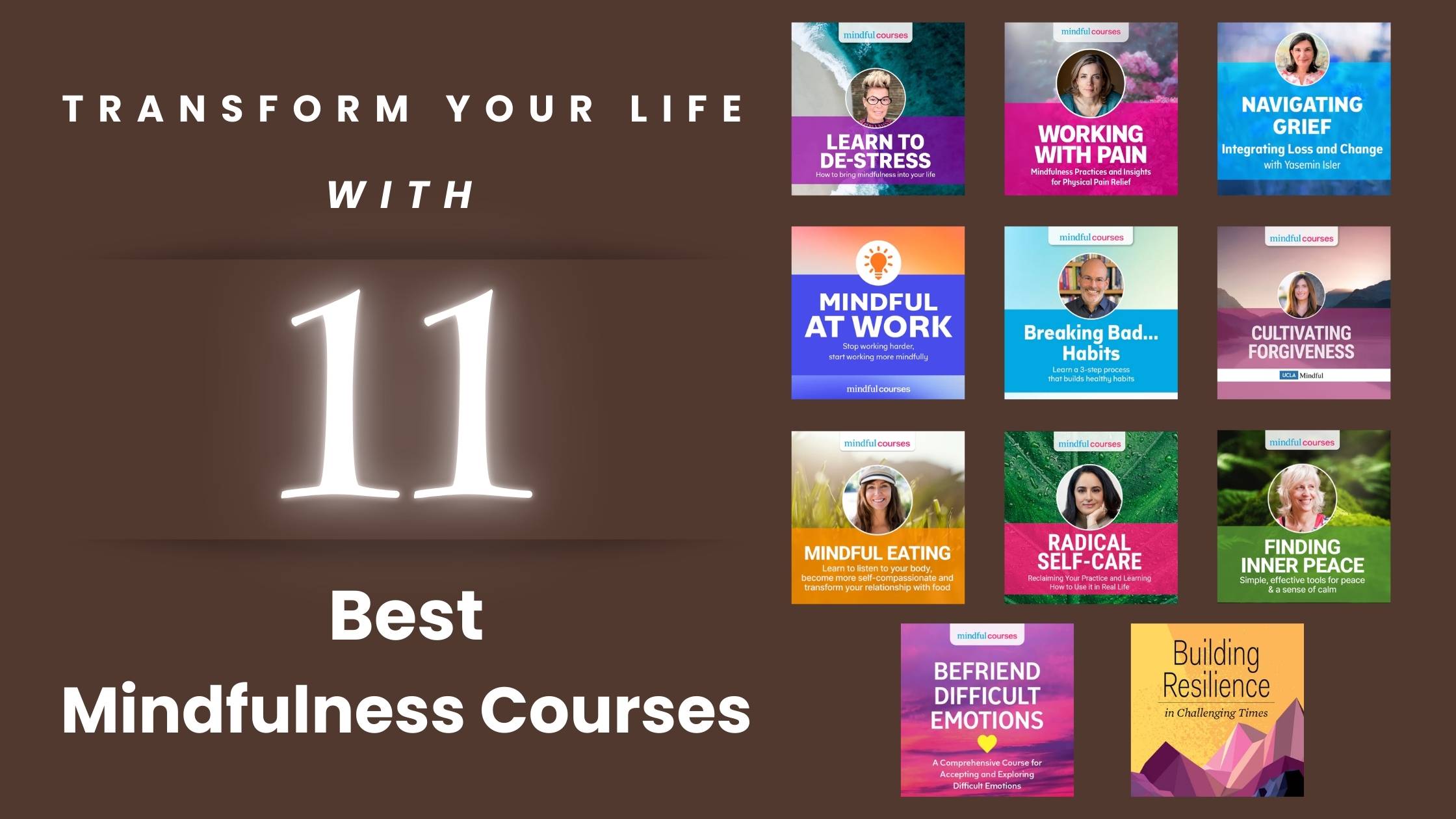 11 Best Mindfulness Courses to Transform Your Life